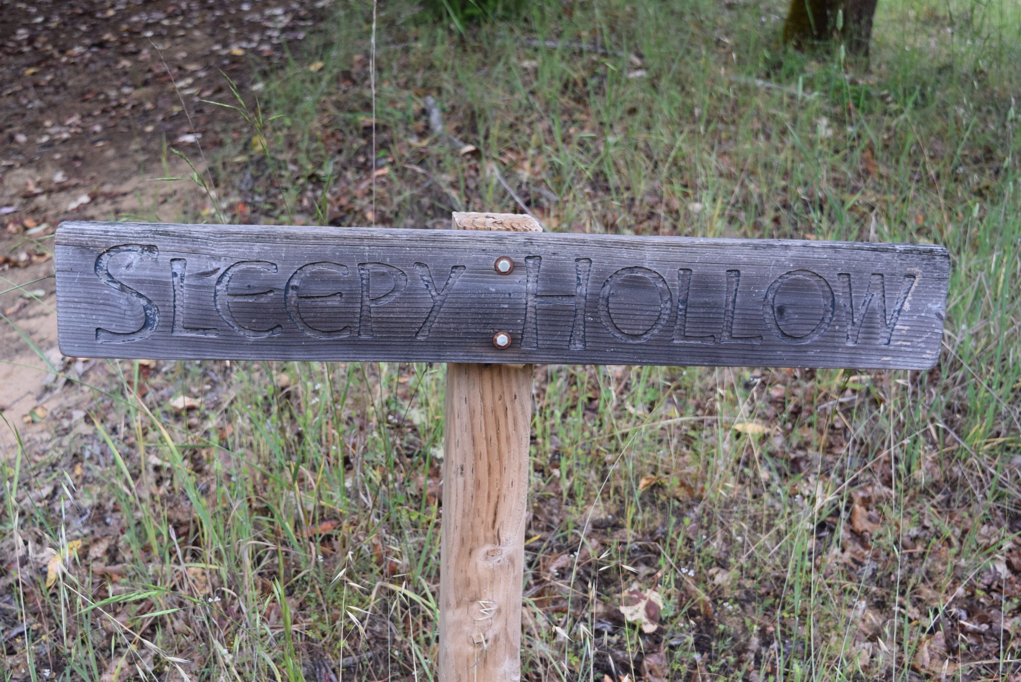 The Ridge Camping Area – Wente Scout Reservation | GGAC